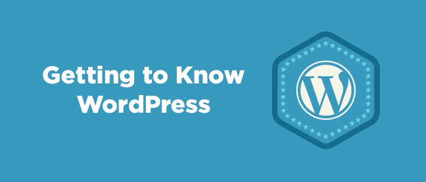 CMS Aimed at Success - Wordpress Versions History! - Nestify